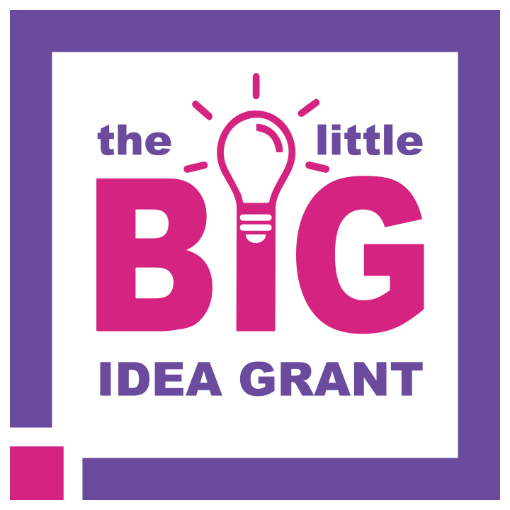 LBIG Grant Application – Vibrant Communities